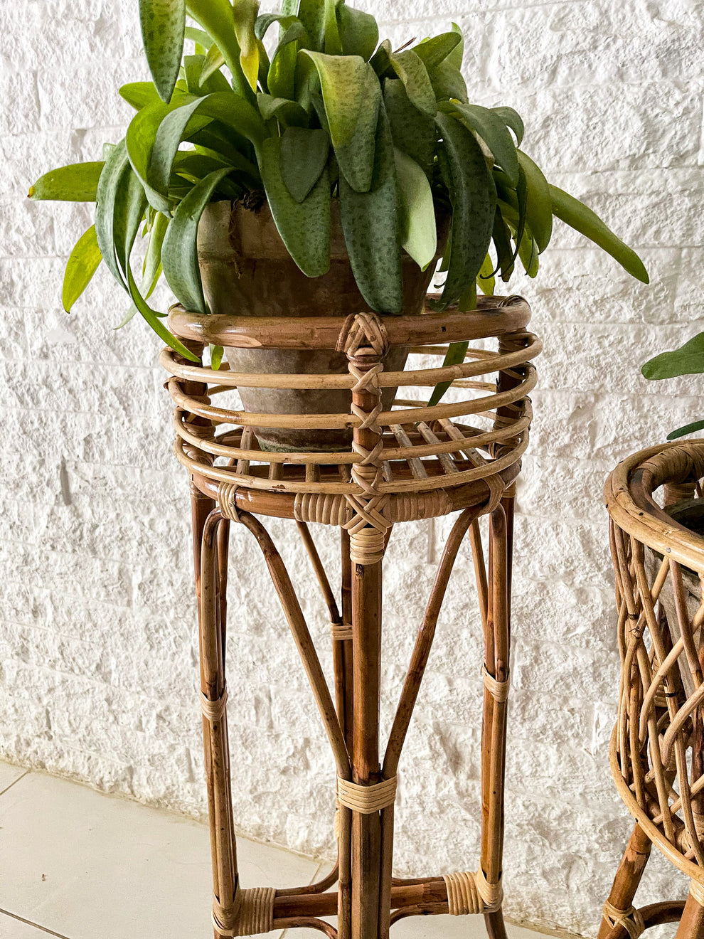 Loop Planter – Triggy